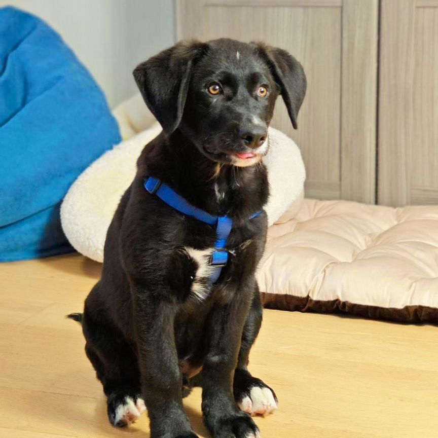 Сэм ищет семью