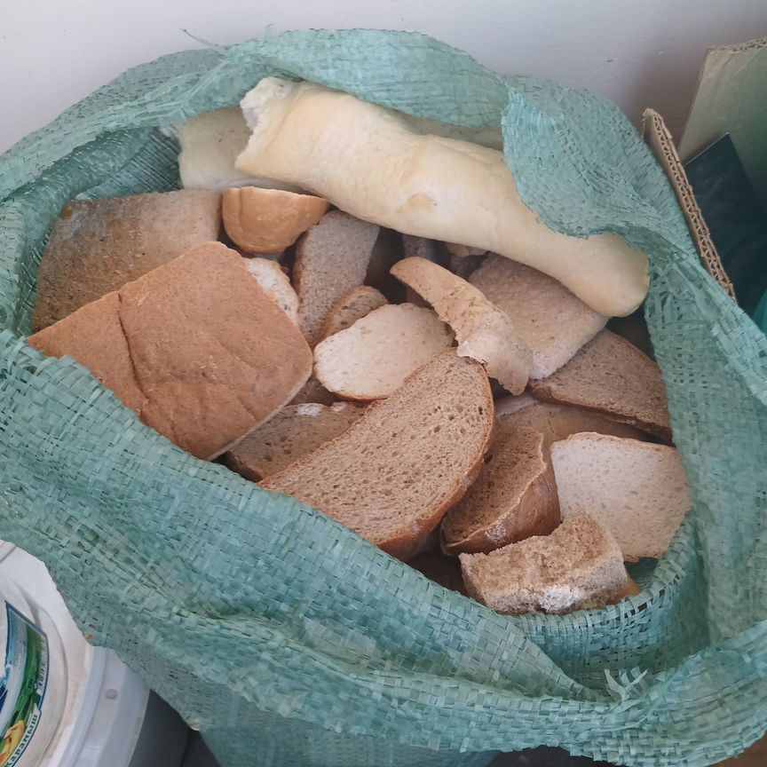 Отходы хлеба