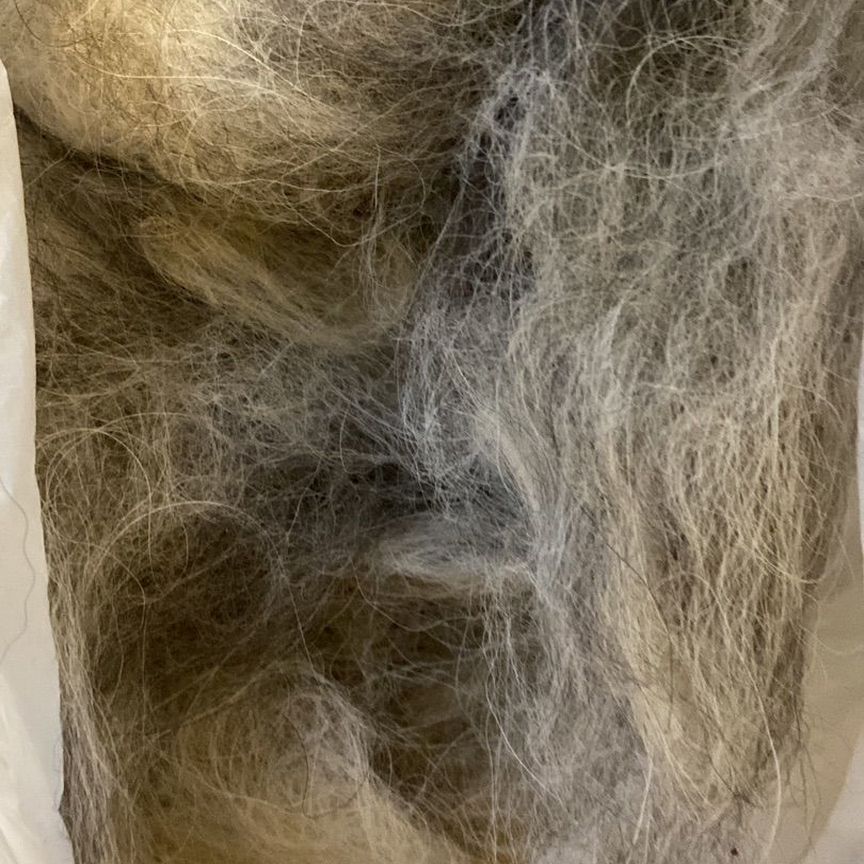 Пух собачий