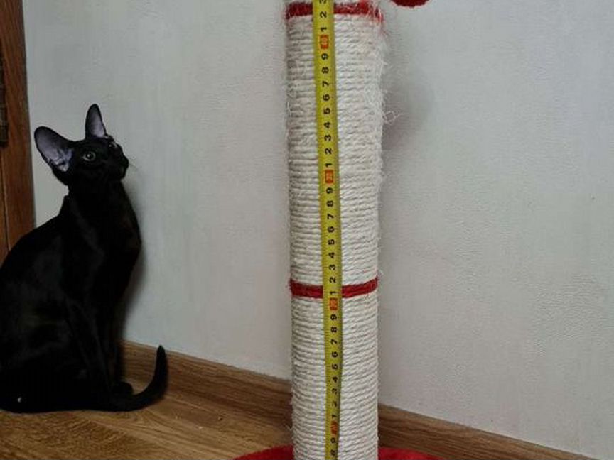 Когтеточка+3 игрушки+антицарапка