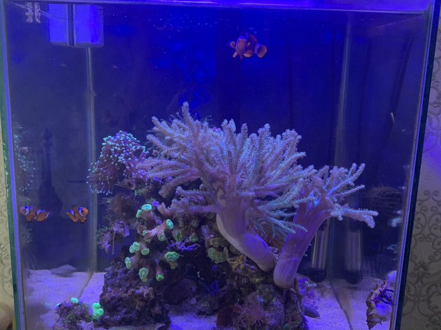 Морской аквариум с тумбой