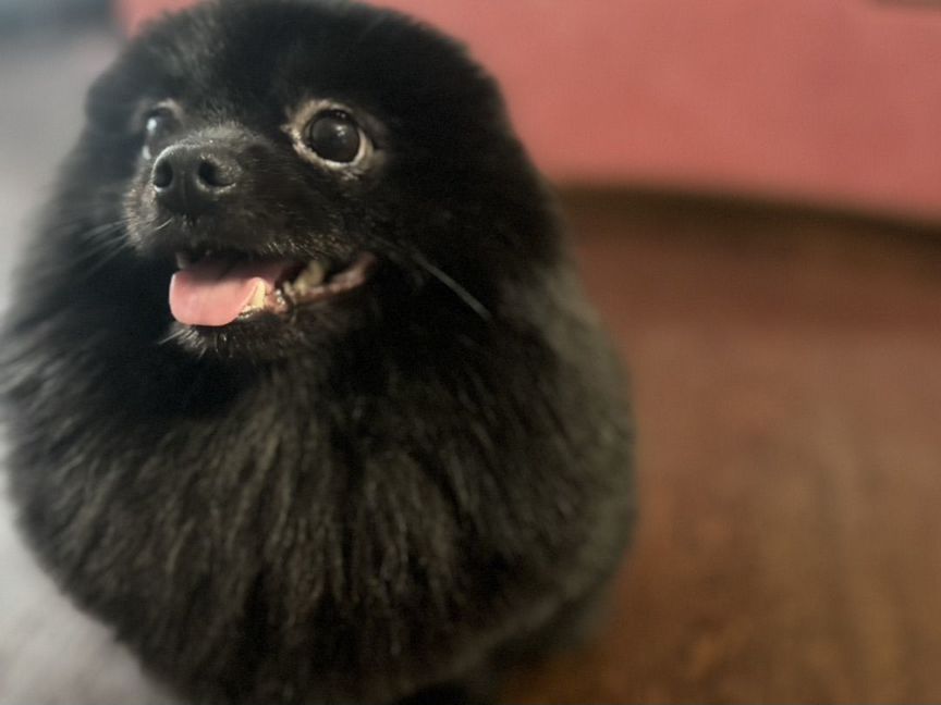 Милый малыш ищет подружку