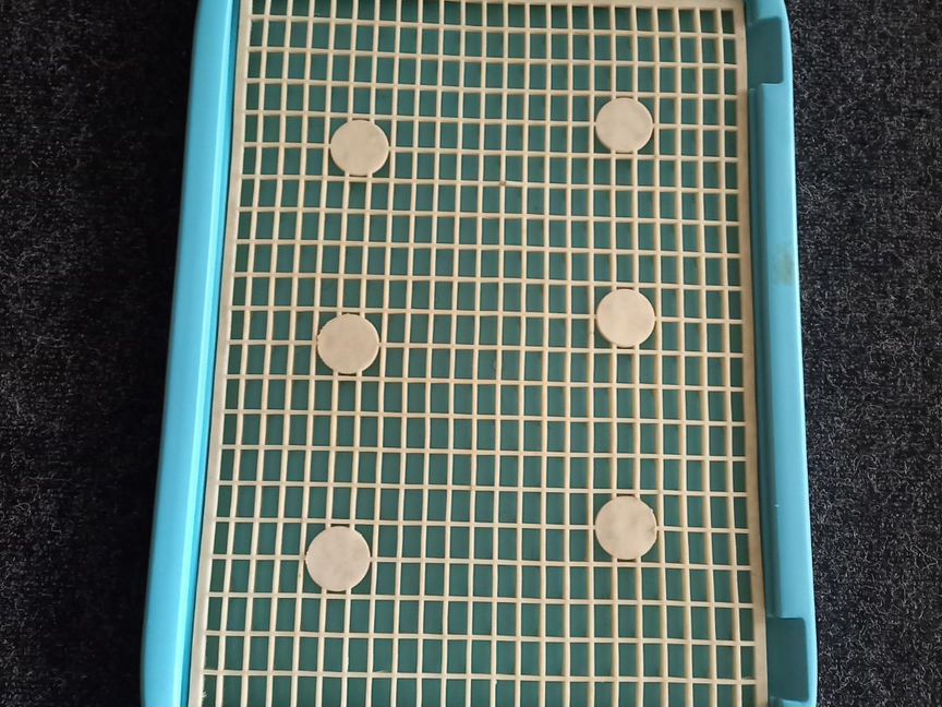 Лоток для собаки