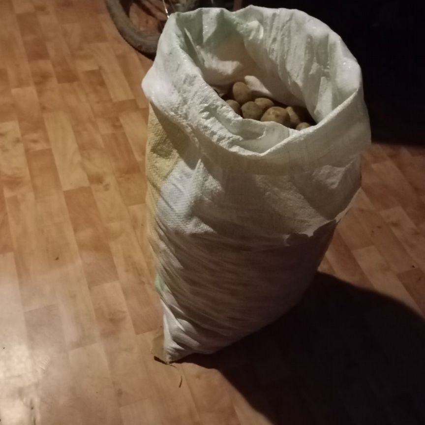 Картофель на корм скоту