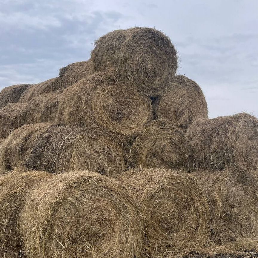 Сено разнотравье в тюках