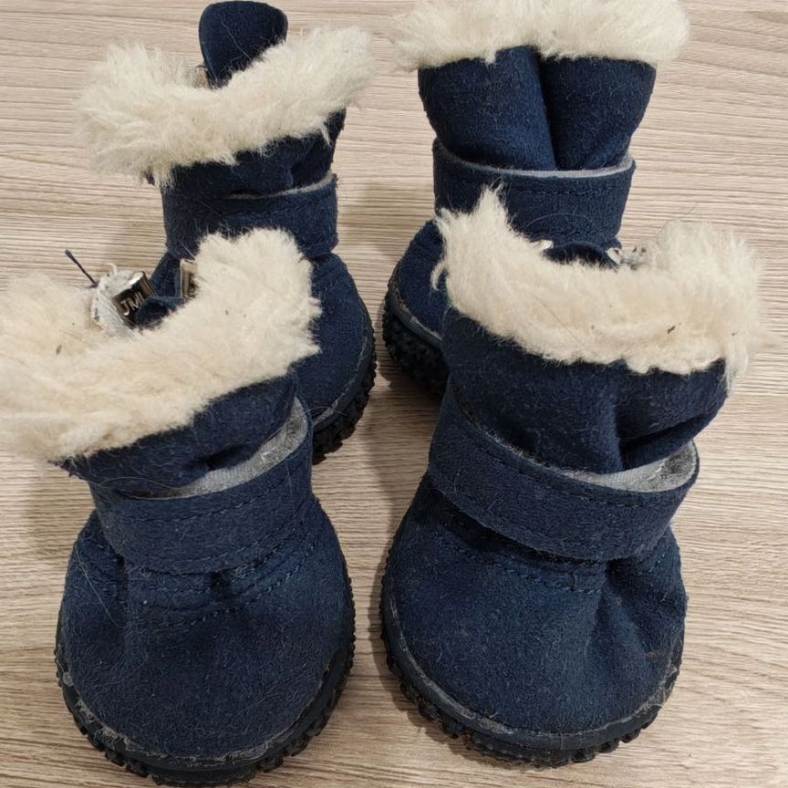 Ботинки для мелкой собачки