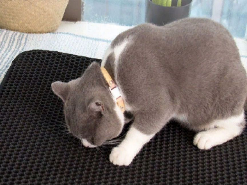 Двухслойный коврик для кошачьего туалета