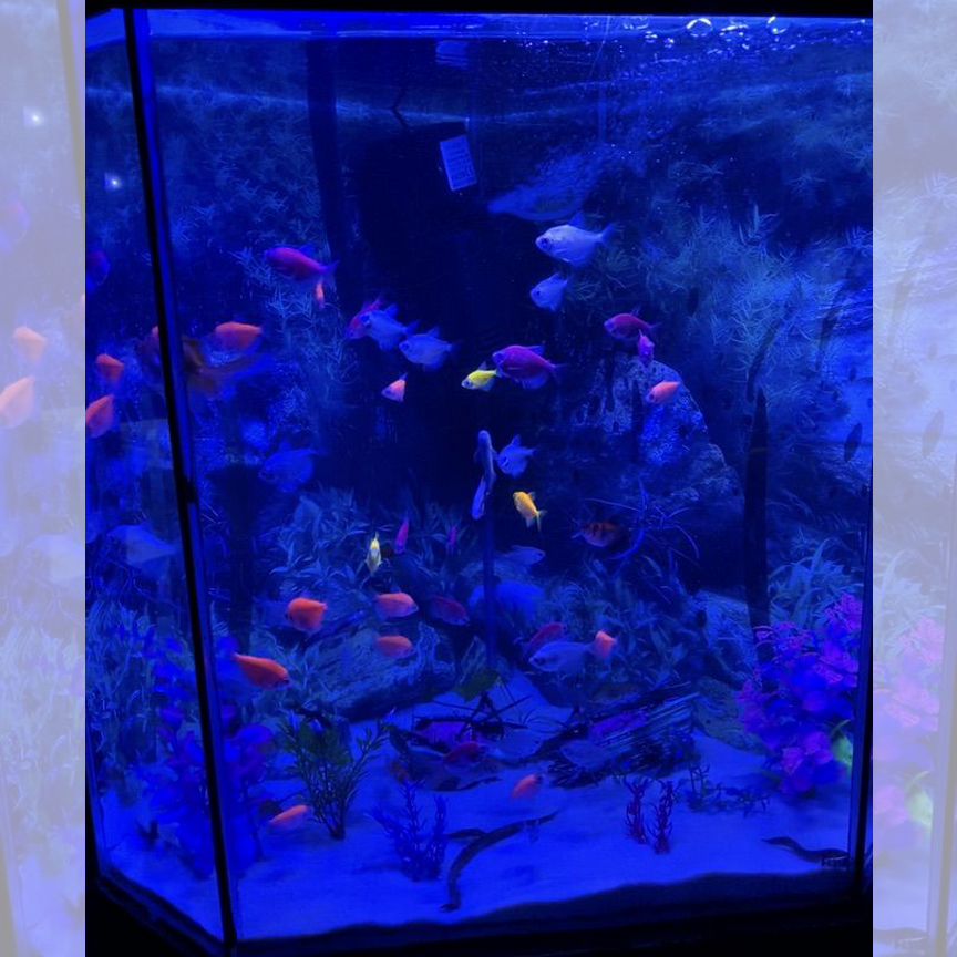 Аквариум угловой с тумбой 100л