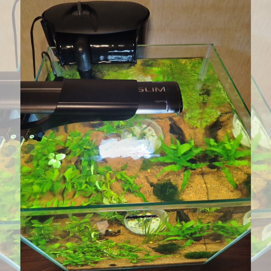 Аквариум куб 49 литров aquael shrimp