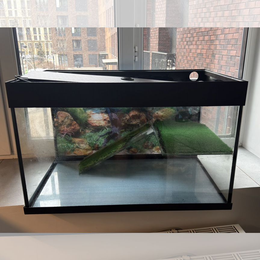 Аквариум для черепах