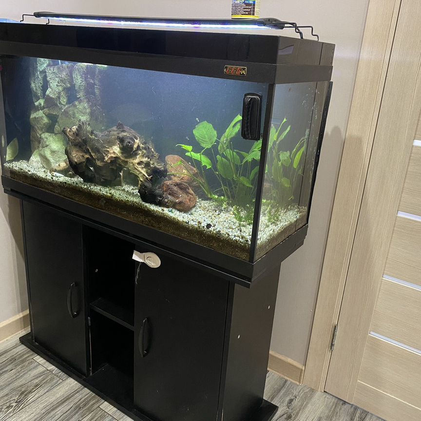 Аквариум 250 литров с тумбой