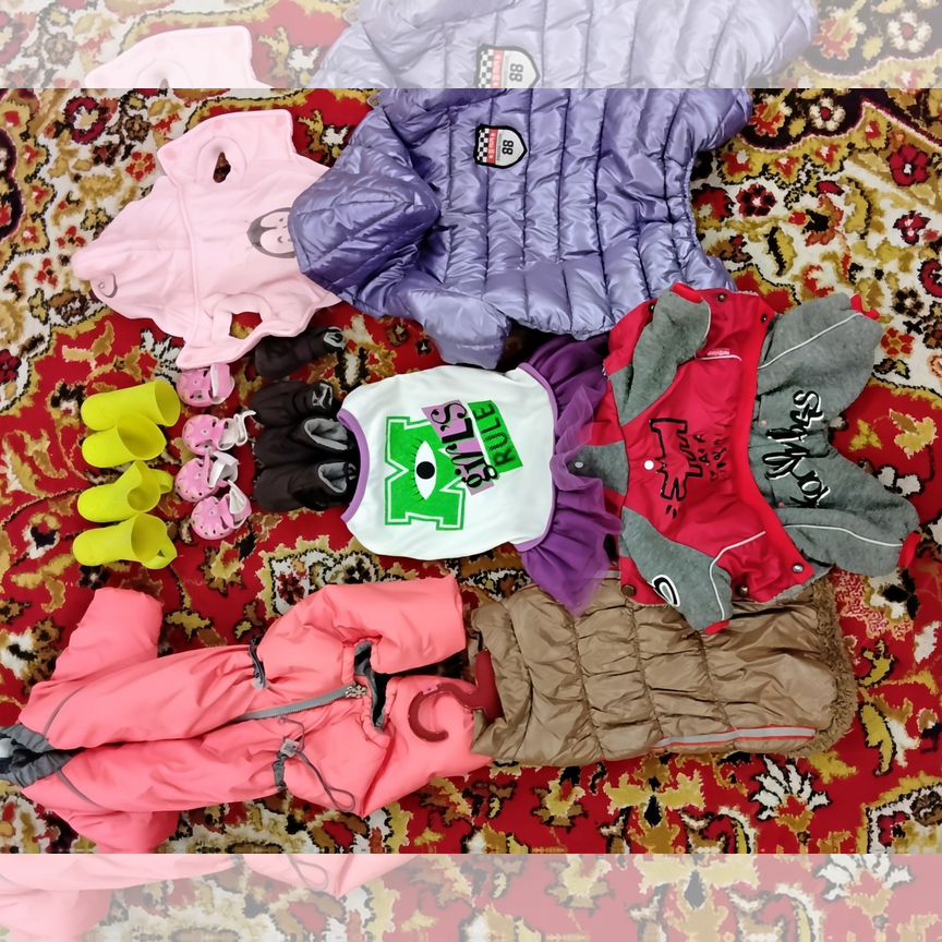 Одежда для собак