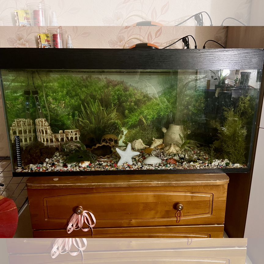 Аквариум на 200 литров