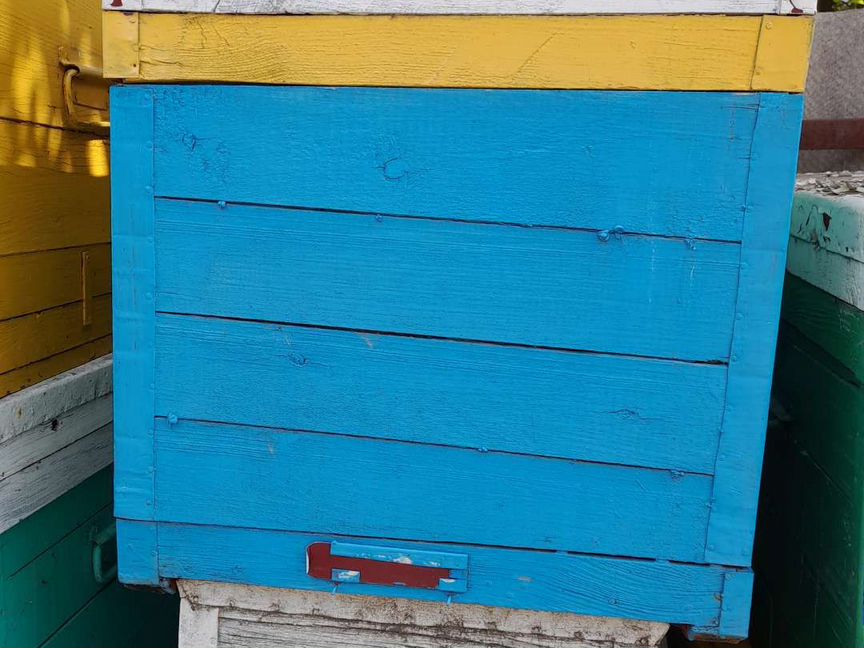 Продам ульи, нуклеусы