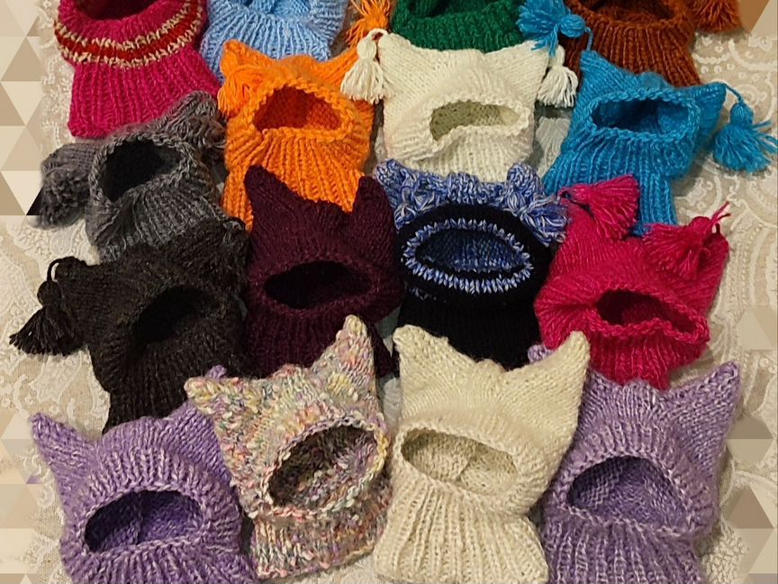 Вязаные шапочки для собак и кошек