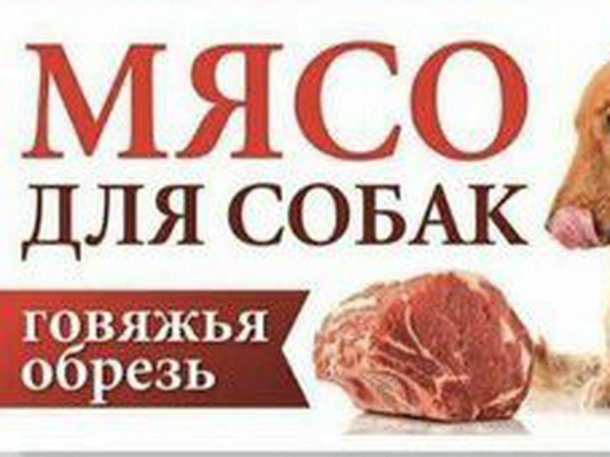 Мясо говядина в корм собакам