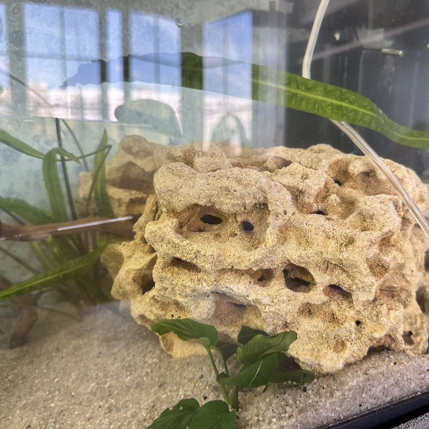 Камень для аквариума песчанник