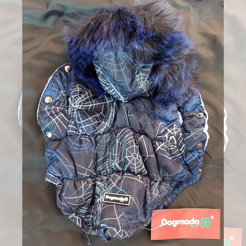 Одежда для маленьких собак