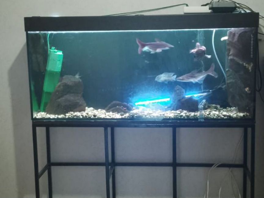 Аквариум с тумбой и рыбками на 270 литров