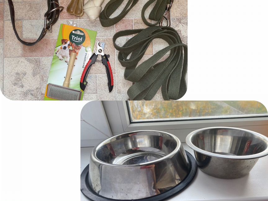 Принадлежности для собак