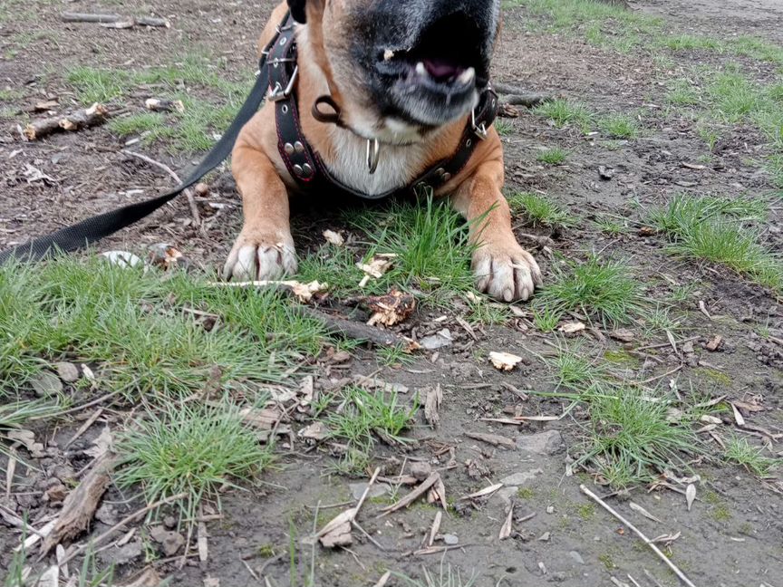 Кабель вязка