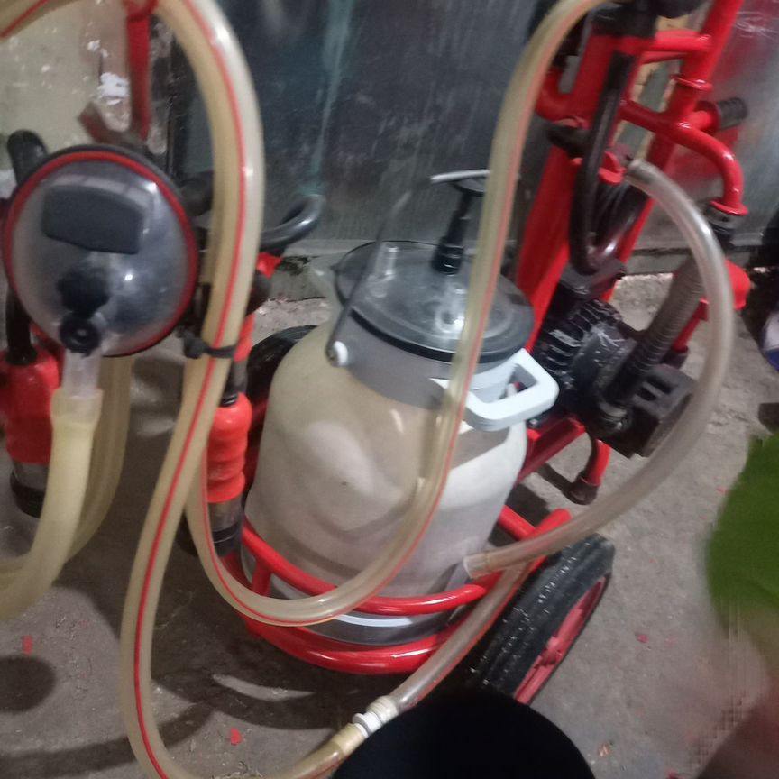 Доильный аппарат для коров бу