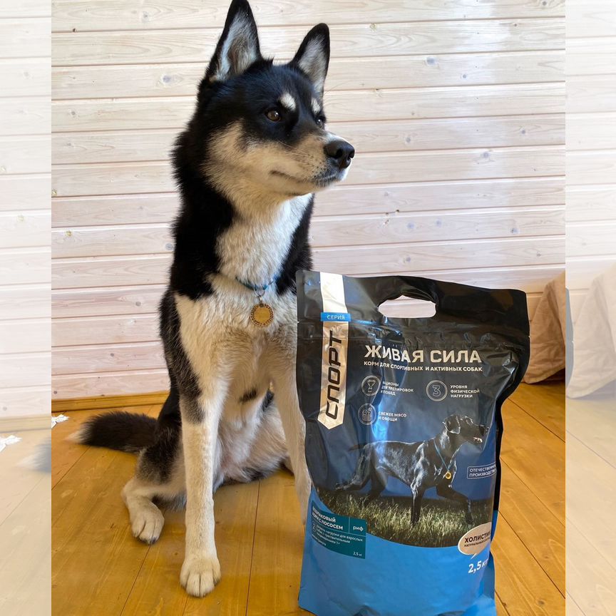 Корм с бесплатной доставкой