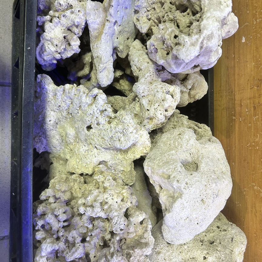 Сухой рифовый камень