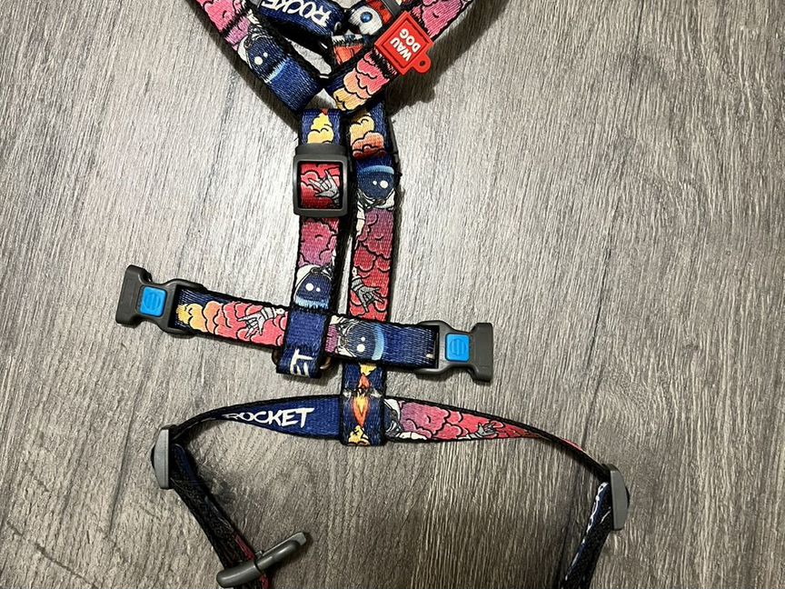 Шлейка бесплатно, намордник, ворот зашитный