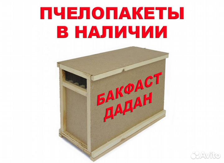 Пчелопакеты в наличии