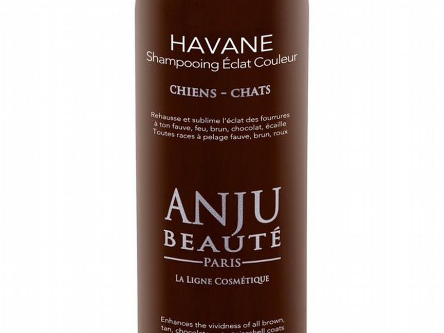 Anju Beaute шампунь "Рыжие, шоколадные и коричневы