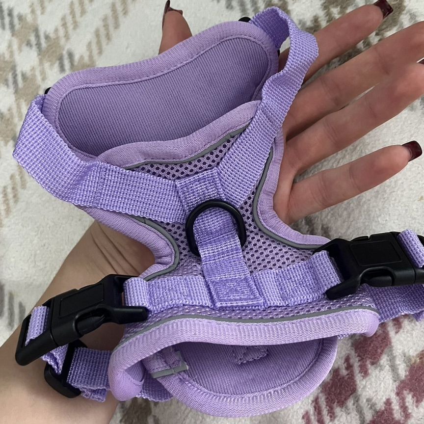 Шлейка для маленькой собаки