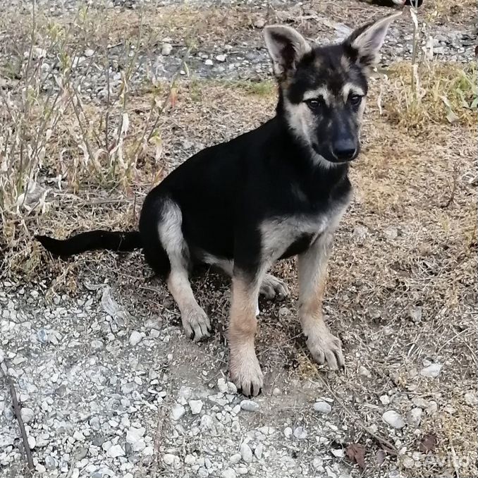 Мальчишка подросток ищет дом