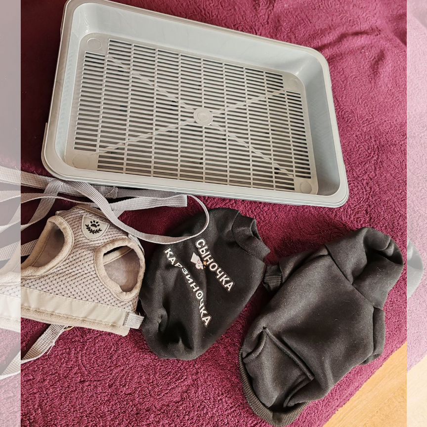 Лоток для кошек