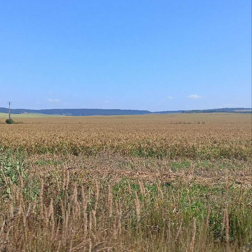 Просяная солома в тюках