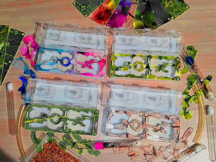 Ферма муравьиная на Новый год