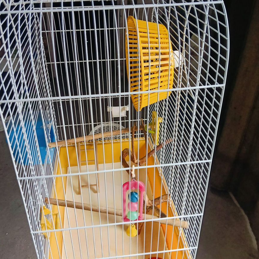 Клетка для птиц