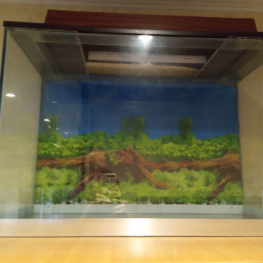 Аквариум