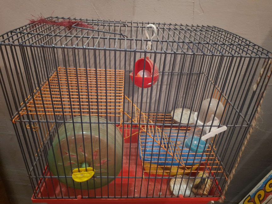 Клетки для грызунов, аквариум
