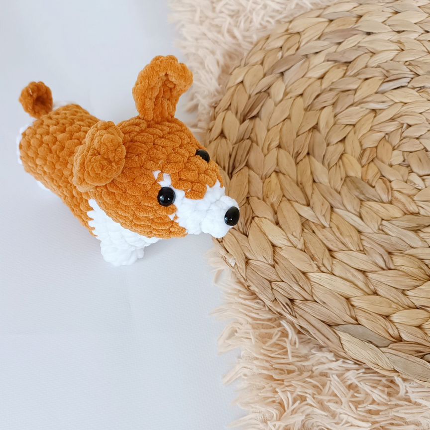 Корги