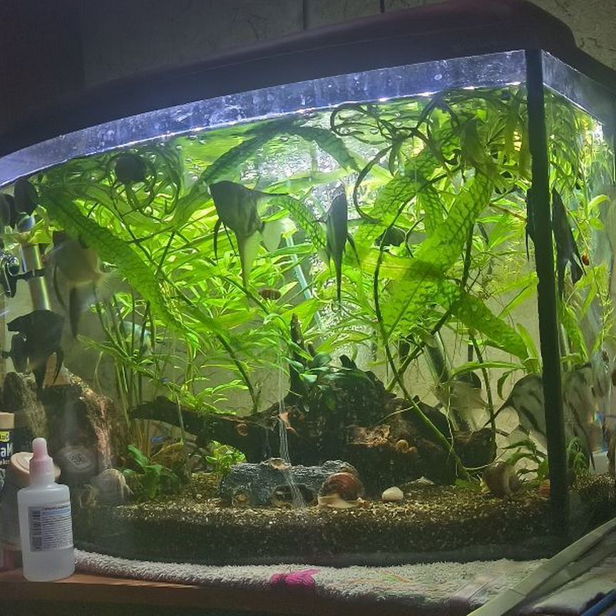 Аквариум 70литров