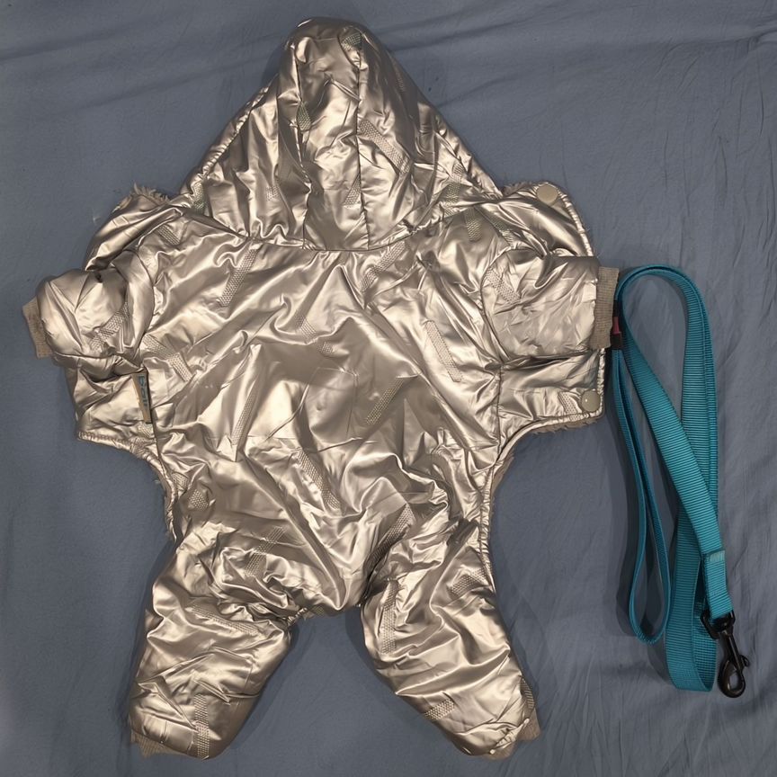 Зимняя одежда для собак