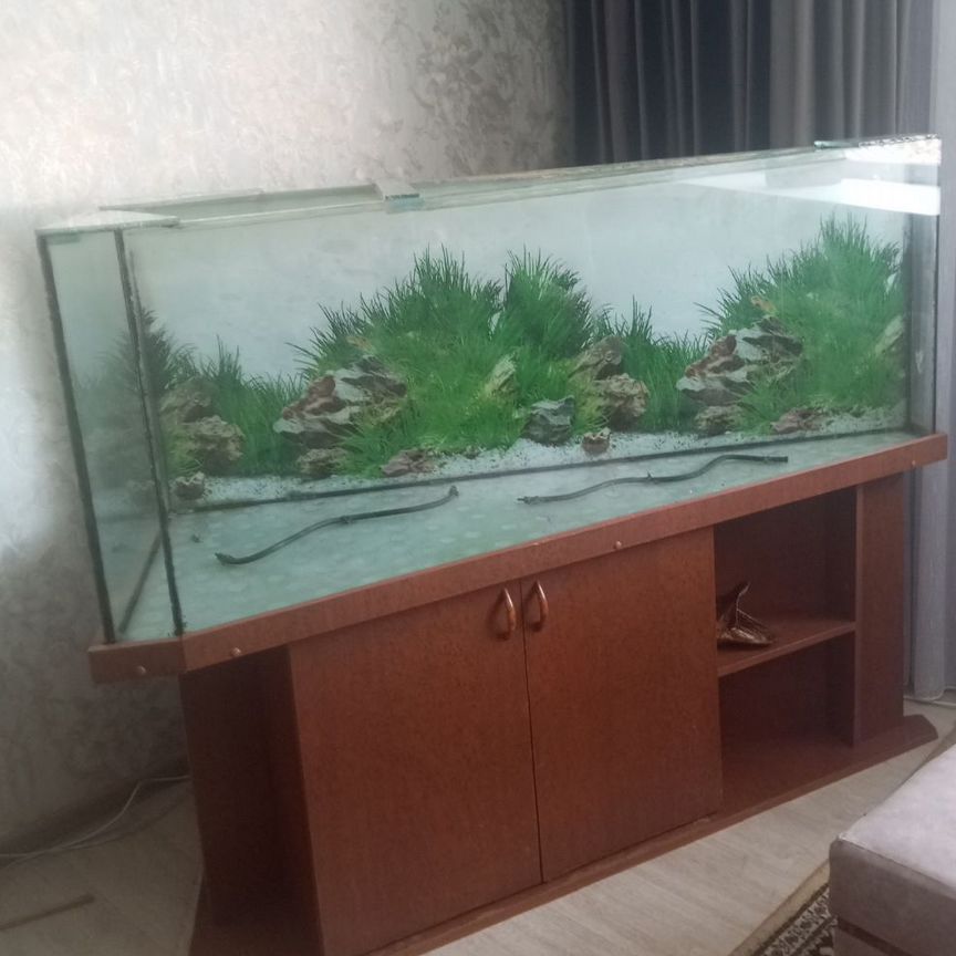 Аквариум 300литро