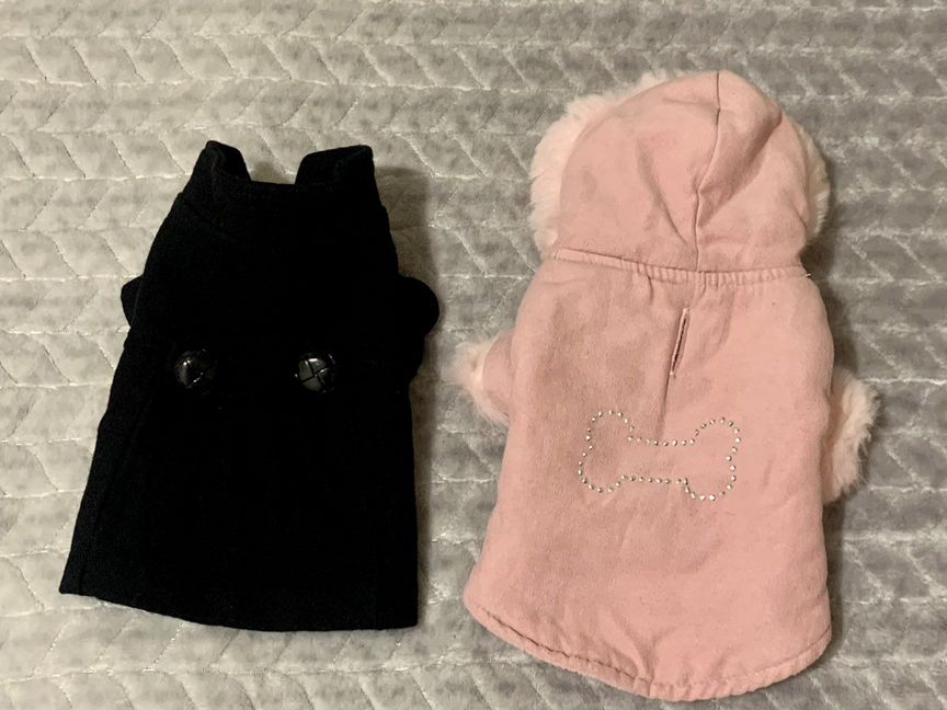 Одежда для маленькой собачки