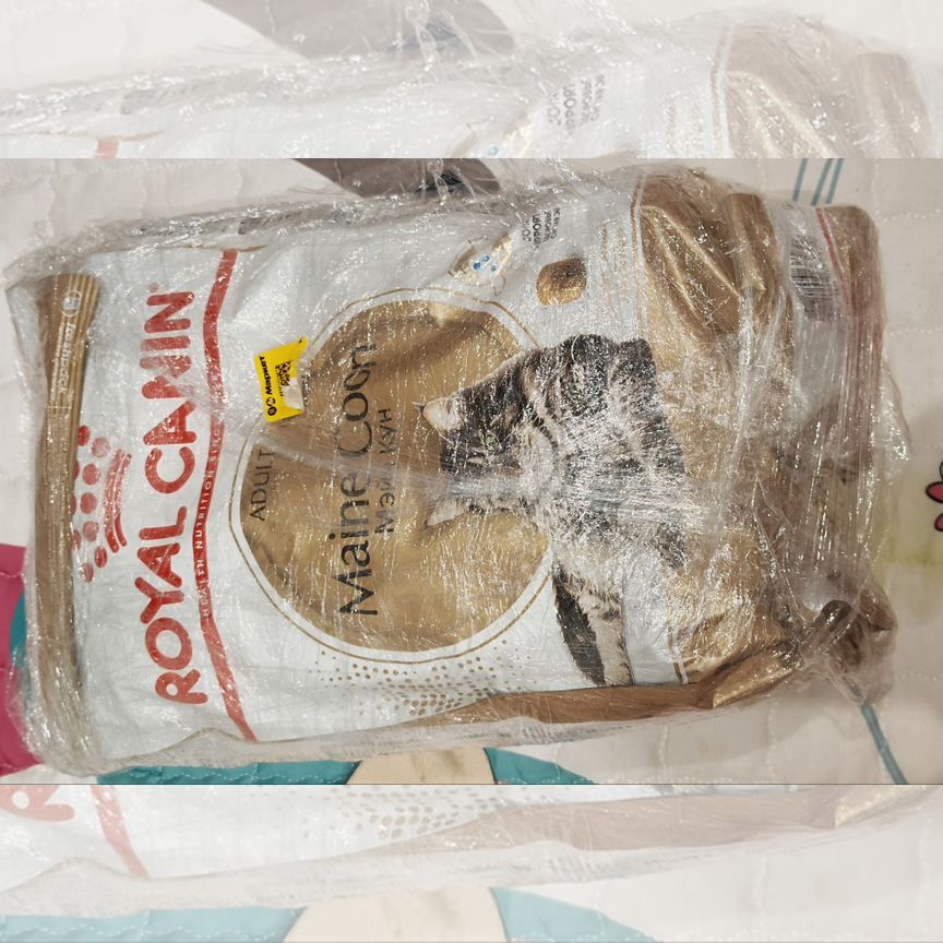 Royal canin maine coon 2кг взрослый