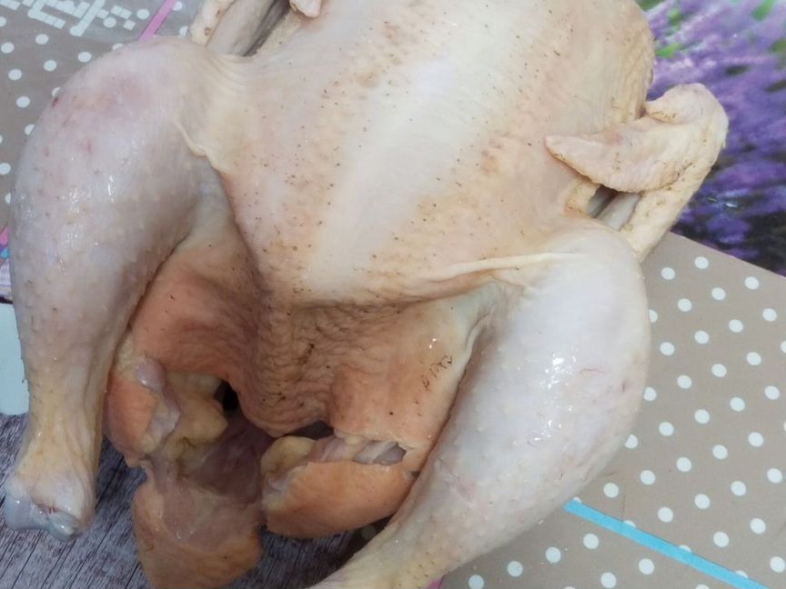 Бролерные цыплята халяль