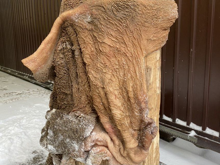 Рубец говяжий