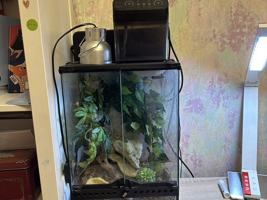 Террариаум для рептилий 30*30*45