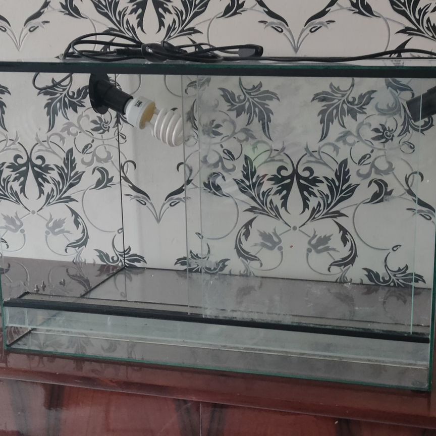 Террариум стекло 60х40х40