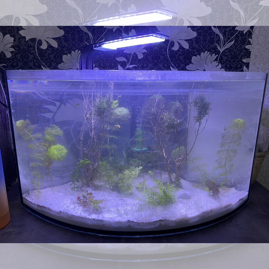 Аквариум с рыбками